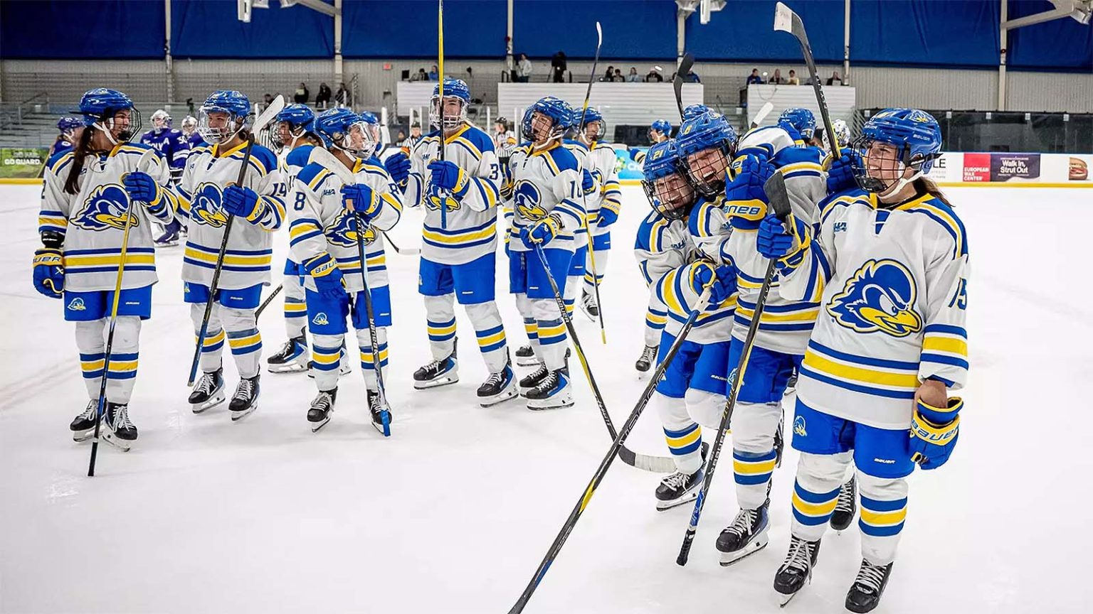 College Hockey Inc » Women’s Notes: Delaware Crosses off First Program Win
